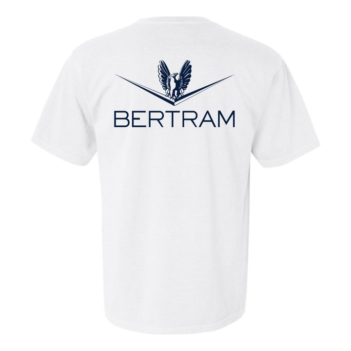 Bertram Gear